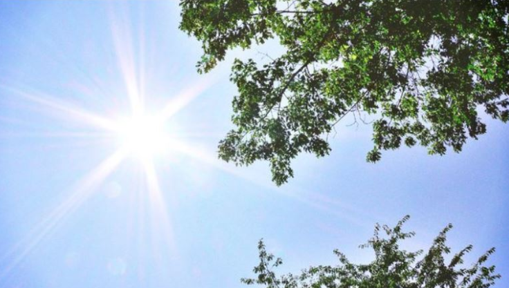 Very warm January in Europe - Weather NEWS