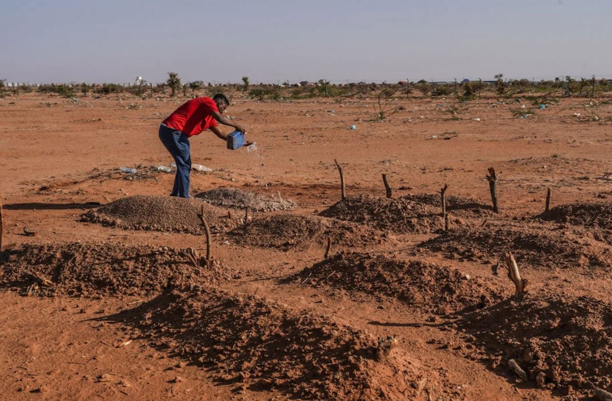 Why are around 127 million people in the world at risk of dying from ...